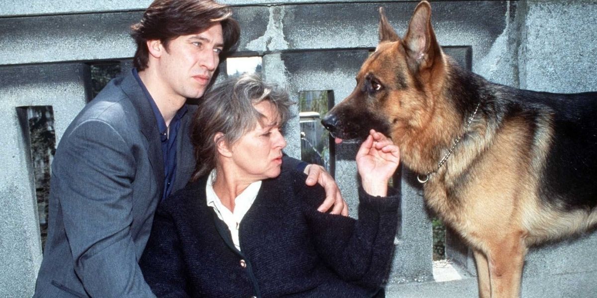 10 Best Shows Like Turner And Hooch