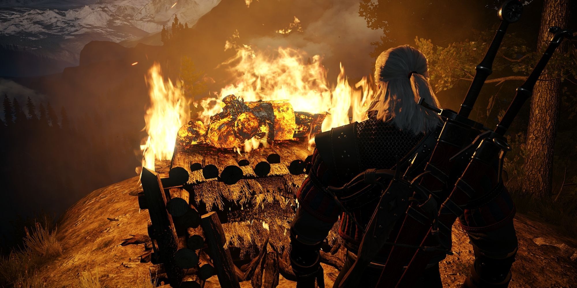 8 Things You Need To Know About The Witcher's Vesemir