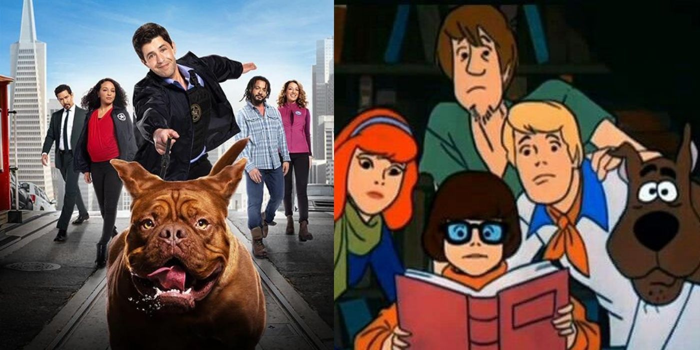 10 Best Shows Like Turner And Hooch