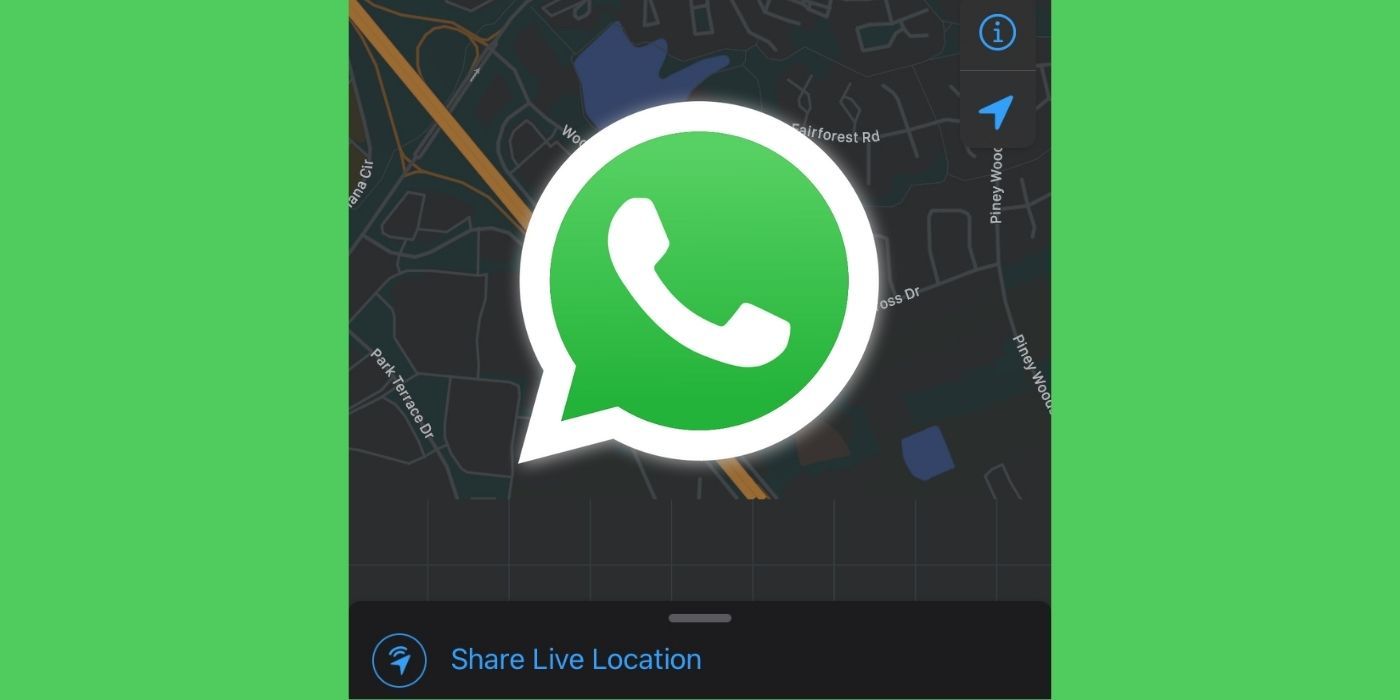 WhatsApp Live Location: How It Works & How Long Real-Time Tracking Lasts