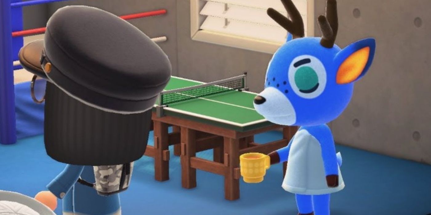 10 Best Jock Villagers in Animal Crossing: New Horizons 10 Best Jock Villagers in Animal Crossing: New Horizons