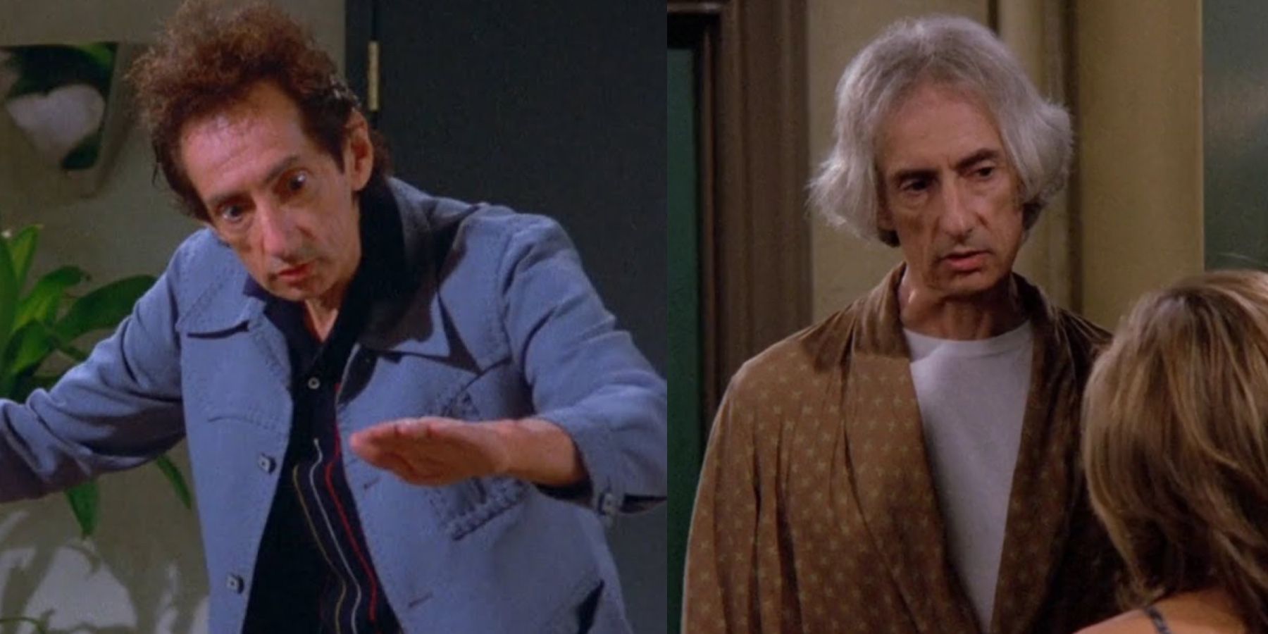 Every Actor Who Appeared On Friends & Seinfeld