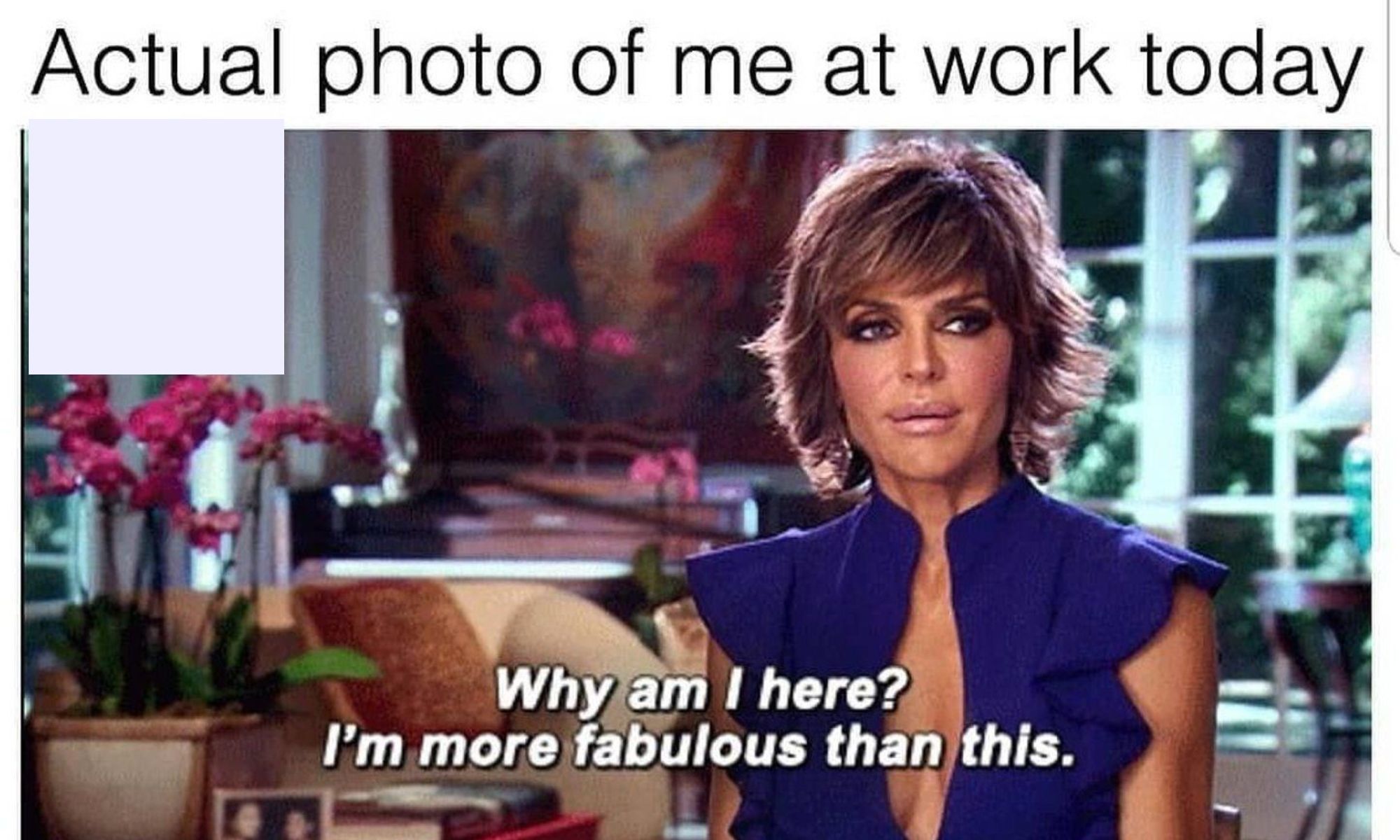 10 Funniest Lisa Rinna Memes From RHOBH