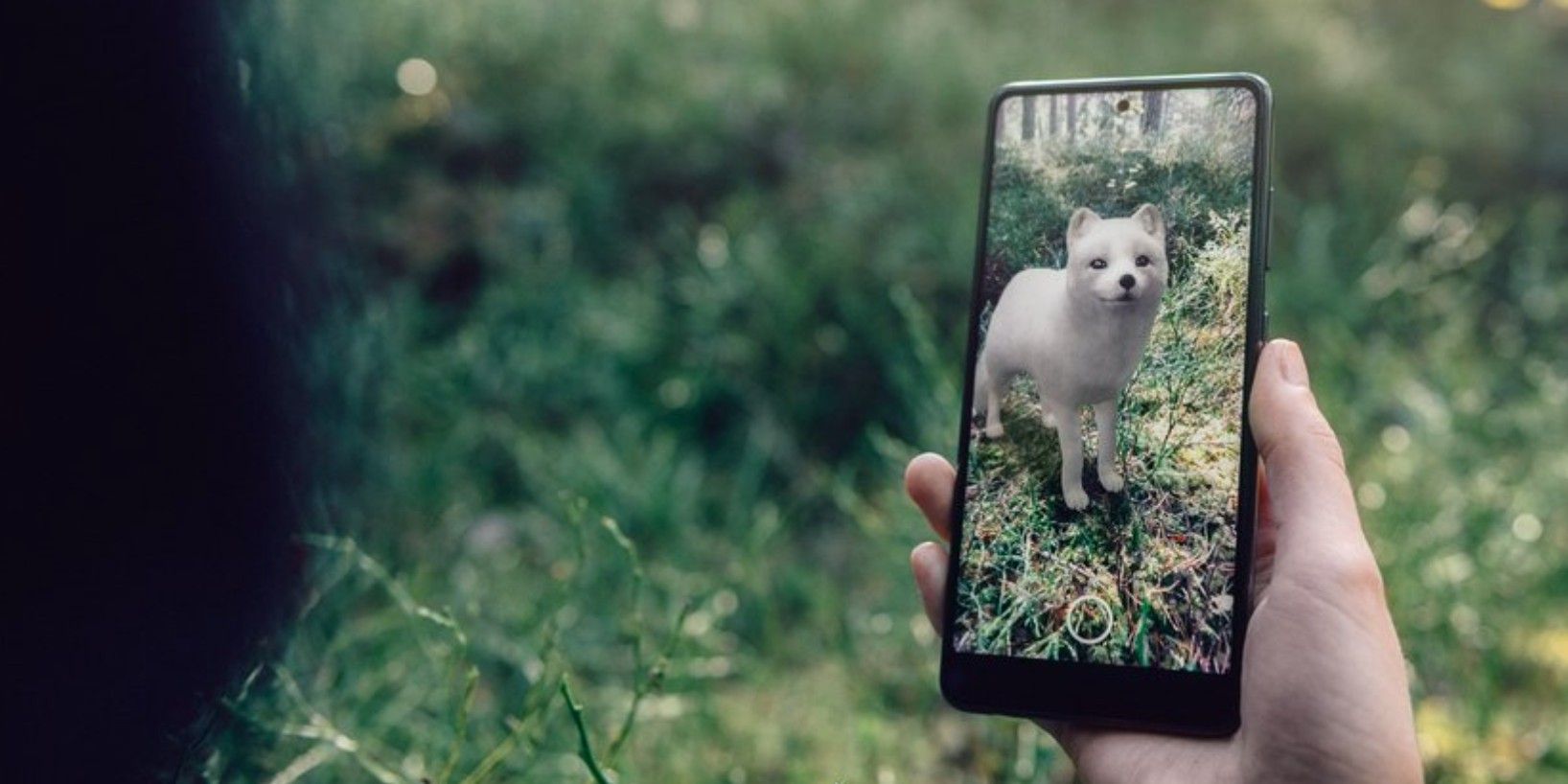 Google Raising Awareness of Endangered Animals Through AR