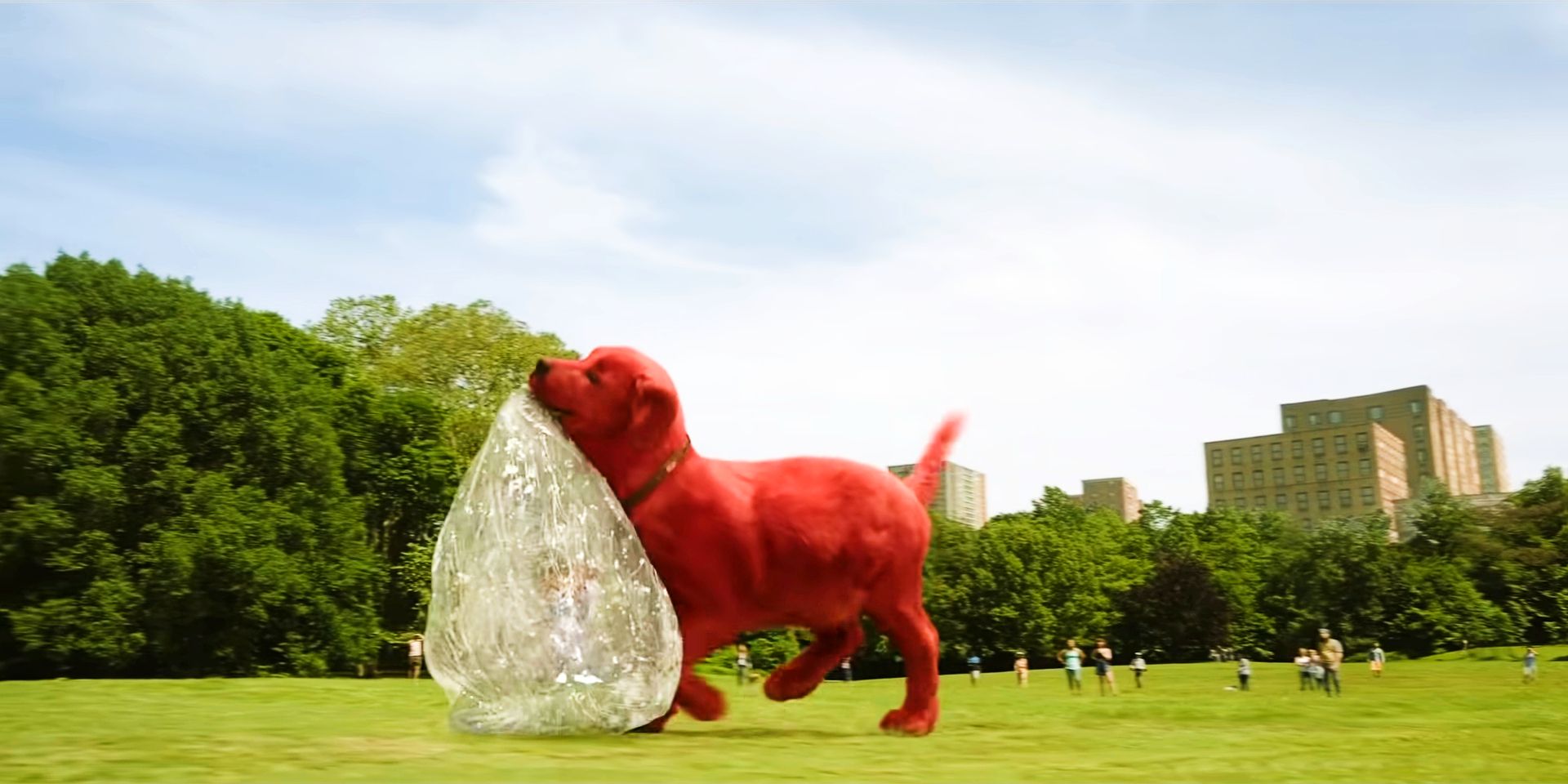 Clifford the Big Red Dog Summary, Trailer, Cast, and More