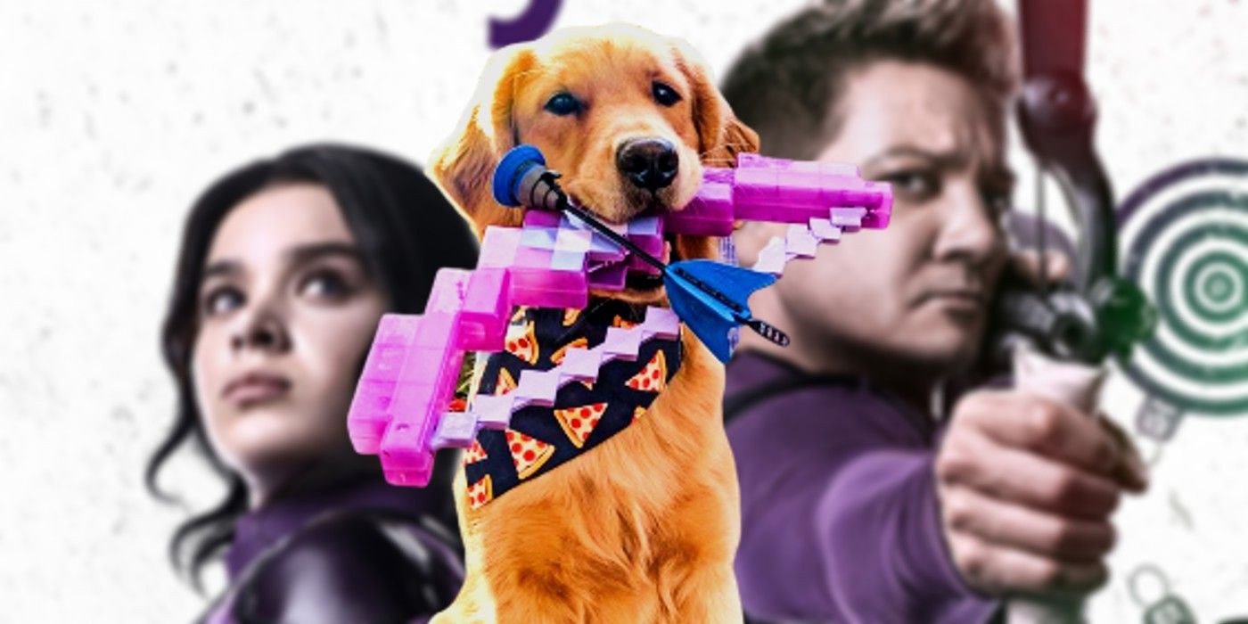 Hawkeye’s Pizza Dog Wields a Bow & Arrow in Adorable Photo
