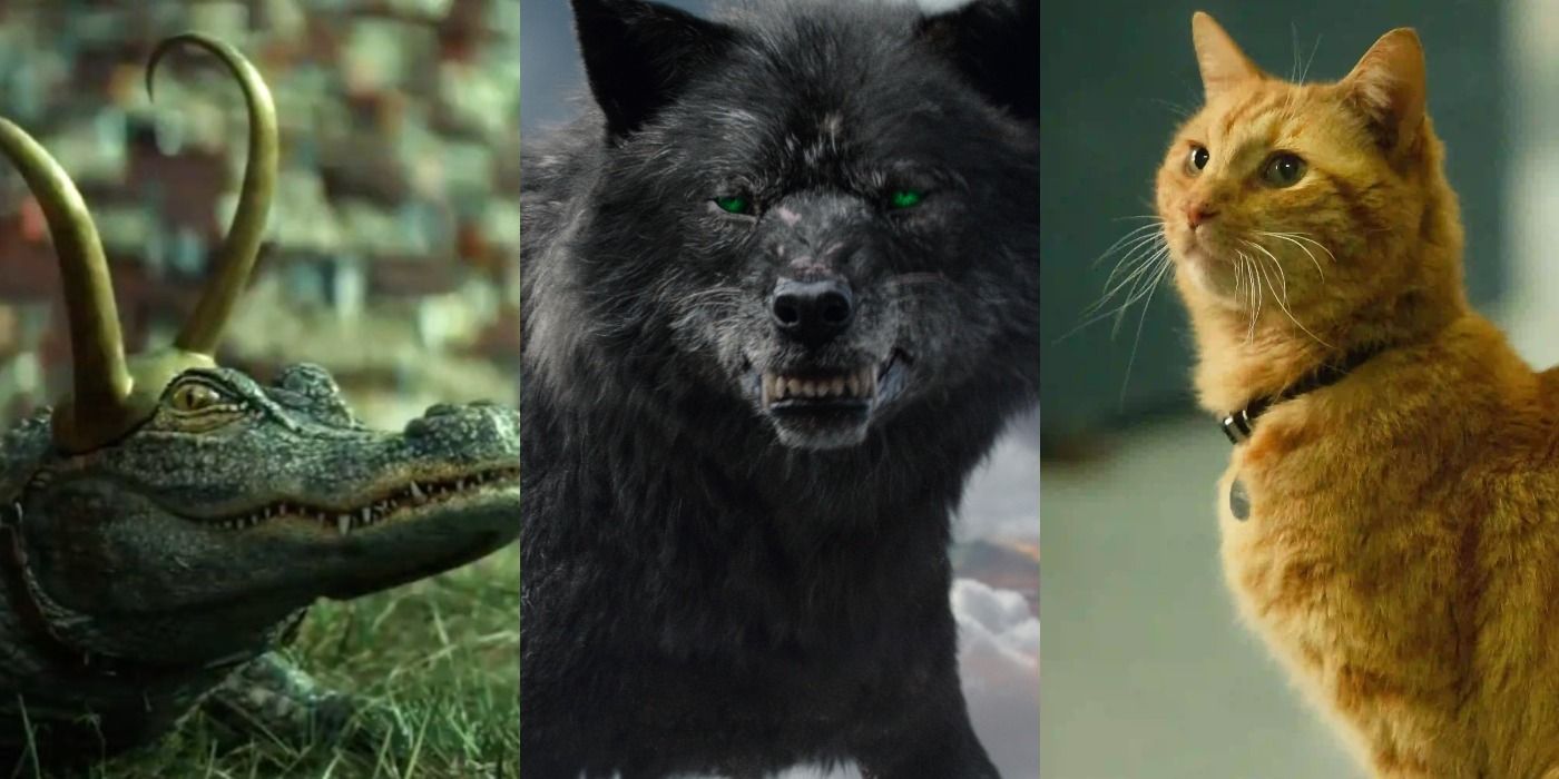 10 Iconic MCU Creatures Sorted Into Their Hogwarts Houses