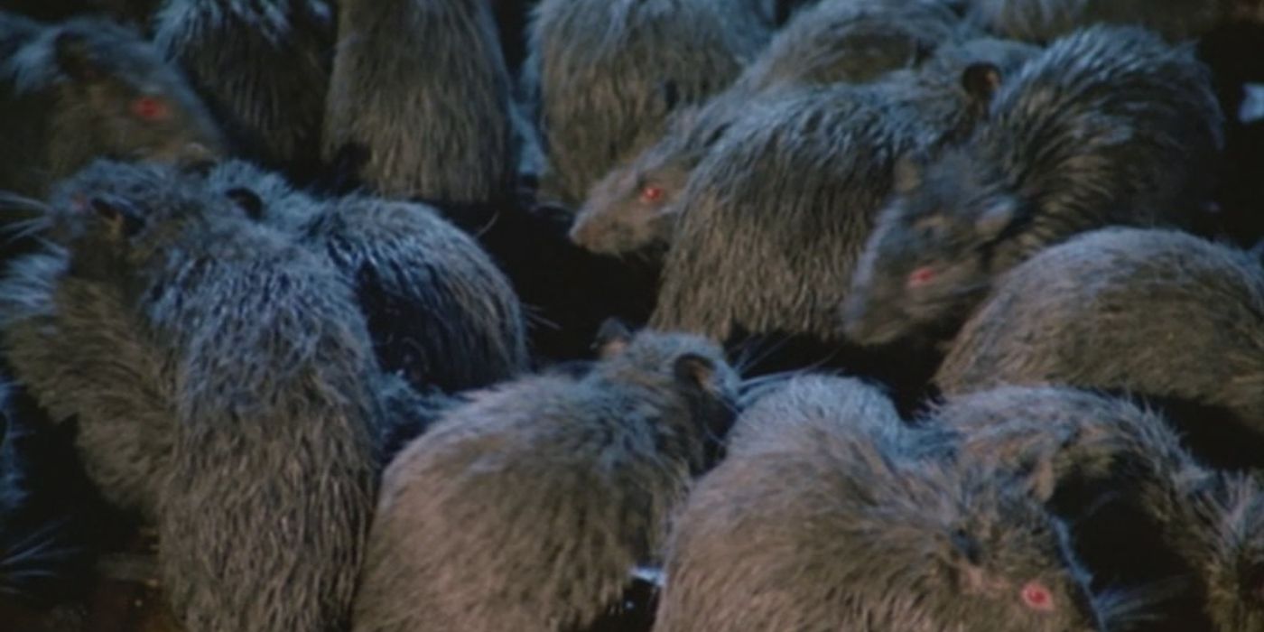 Rats: Night Of Terror Turned Mad Max Into A (Bad) Monster Movie