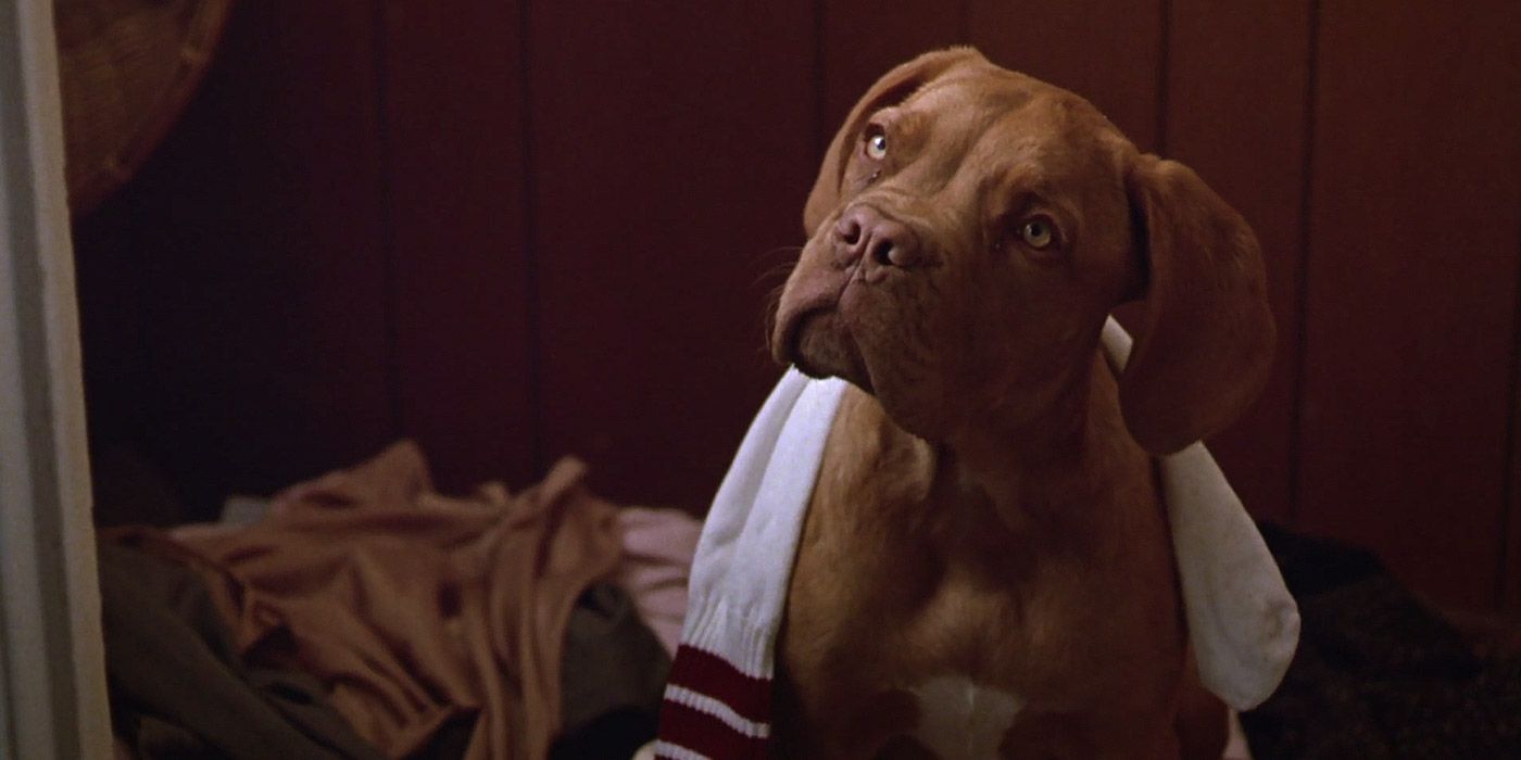 Turner & Hooch (1989): The 10 Funniest Quotes From The Movie