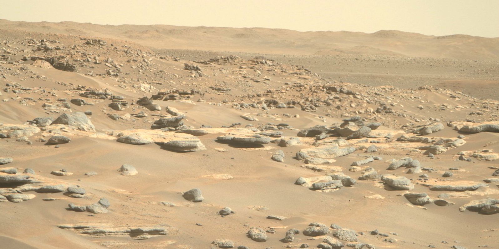 New Perseverance Photos Show The Dazzling Size Of Mars' Dunes