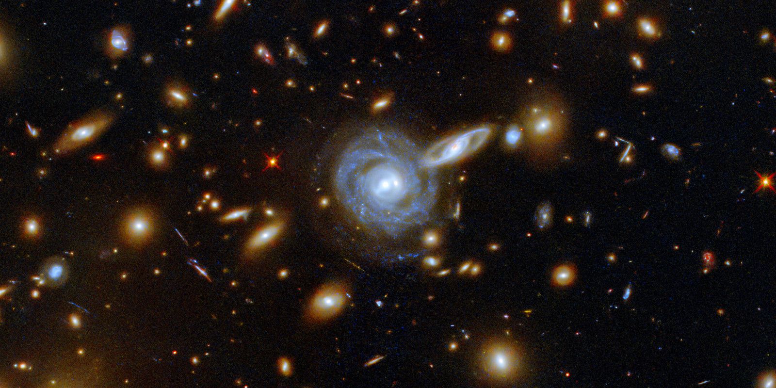 Massive Bubbles In Galactic Cluster Unravel Another Black Hole Mystery