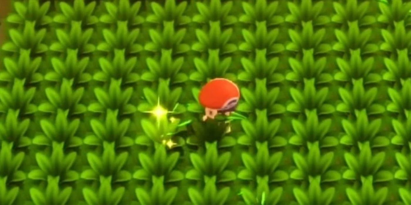 All Poké Radar Exclusive Pokémon In Brilliant Diamond & Shining Pearl