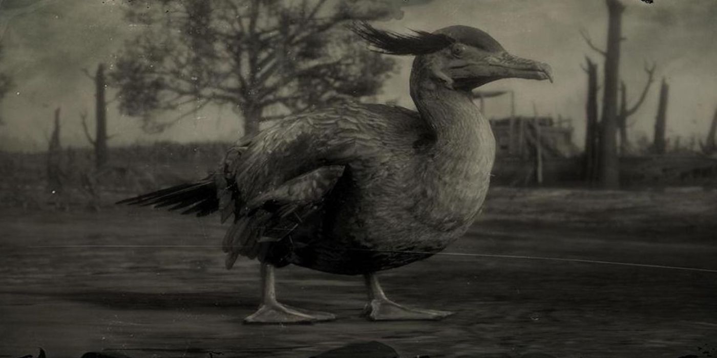 RDR2 Cormorant Locations & Hunting Guide