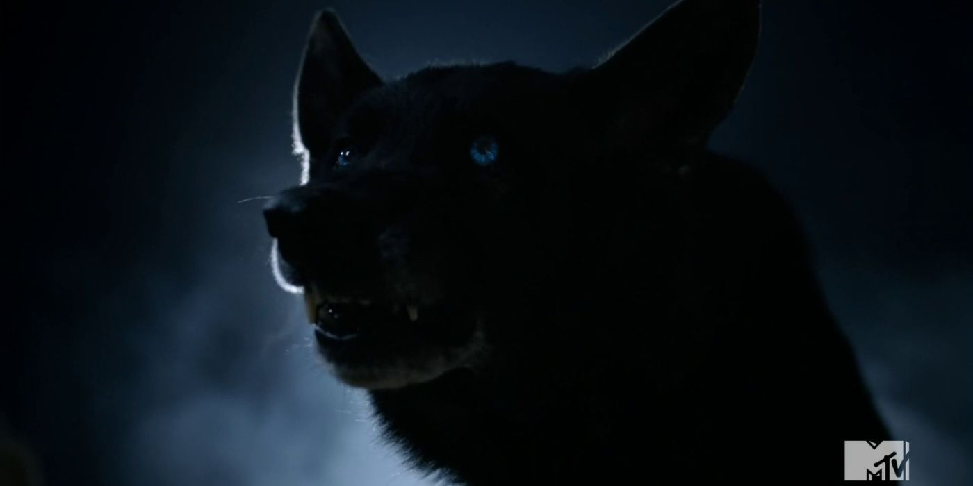 10 Behind The Scenes Facts About Teen Wolf