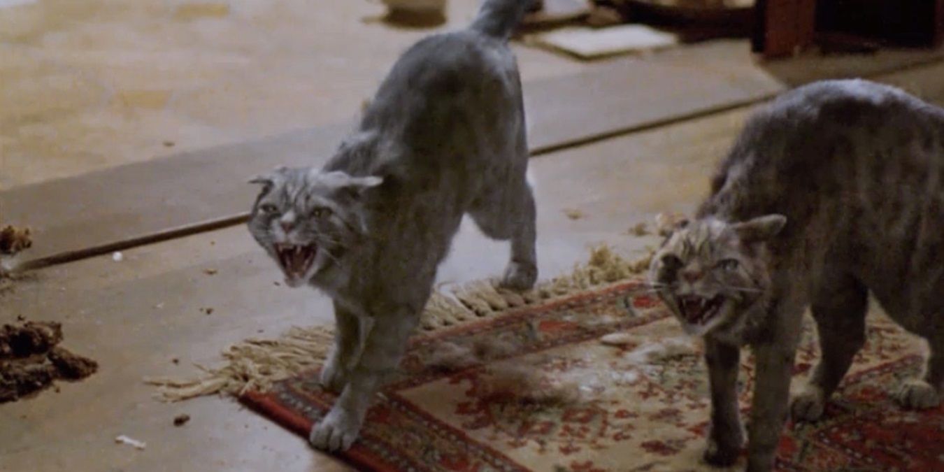 10 Great Movies With One Bad Scene That Almost Ruined It