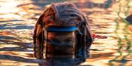 Avatar 2 Spider Actor Reveals His Character s Inner Turmoil