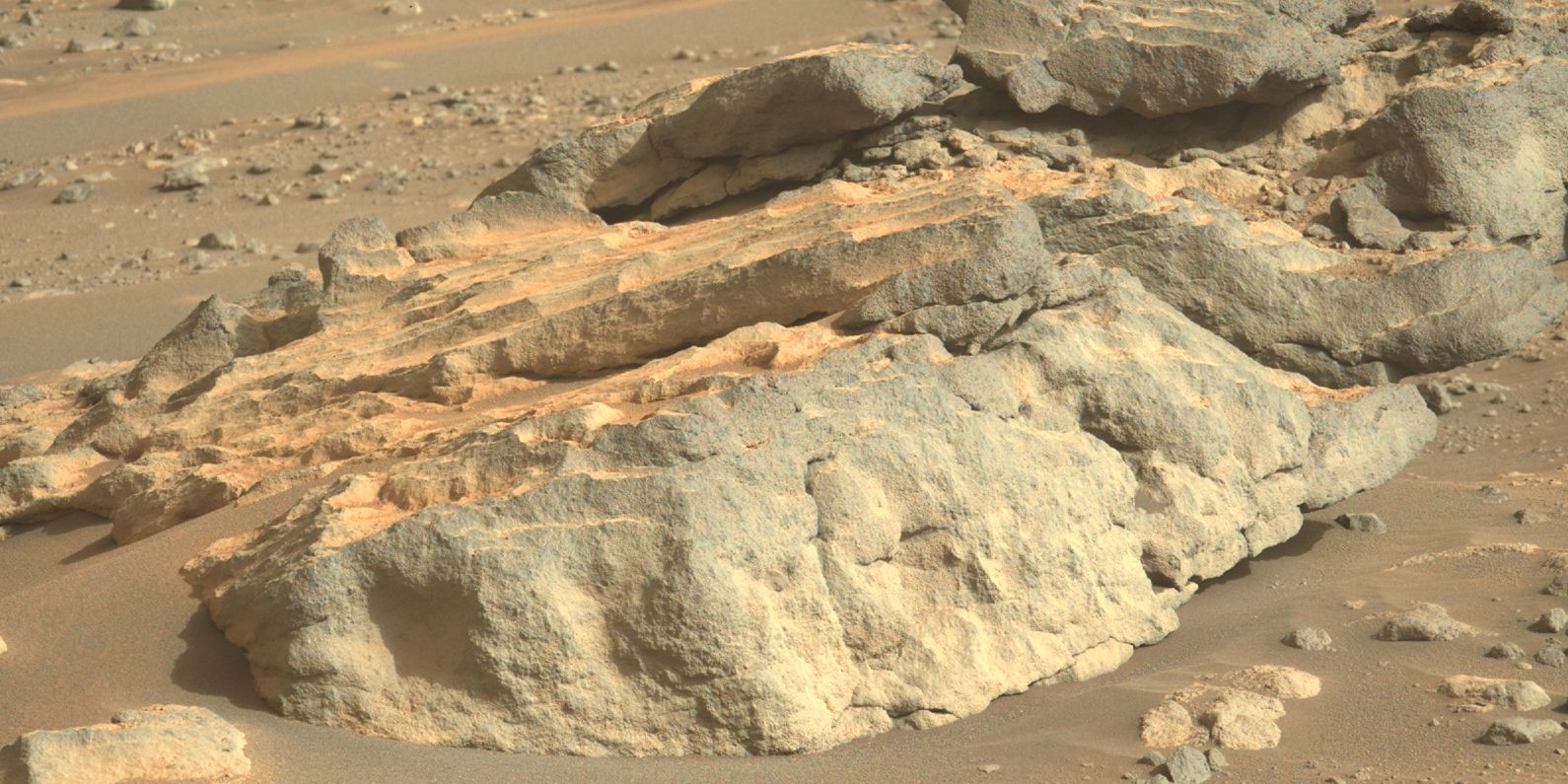Perseverance Finds Mars Rocks With Totally Different Shapes & Sizes