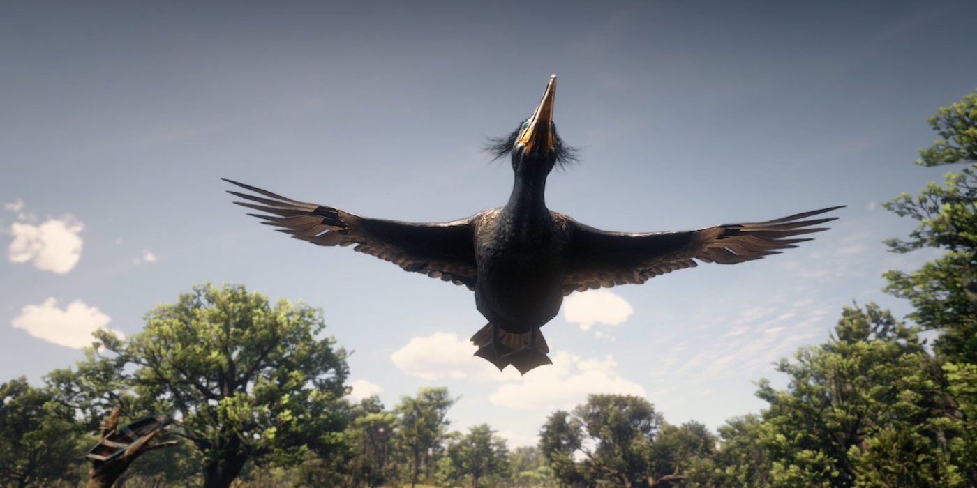 RDR2 Cormorant Locations & Hunting Guide