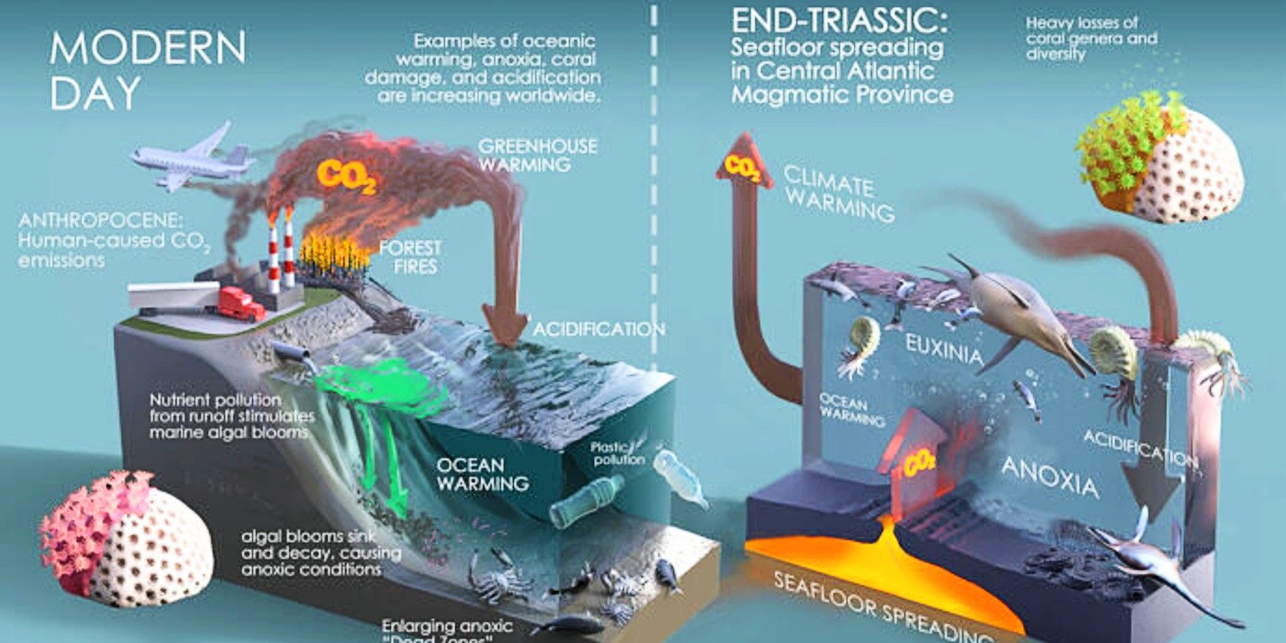 End-Triassic Extinction Conditions Eerily Similar To Modern Climate Change
