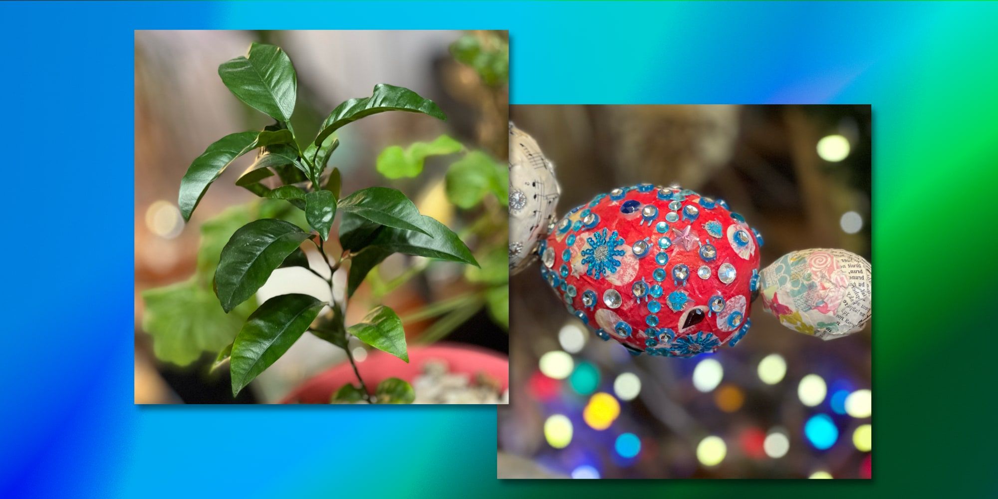 How To Take A Square Photo With An iPhone