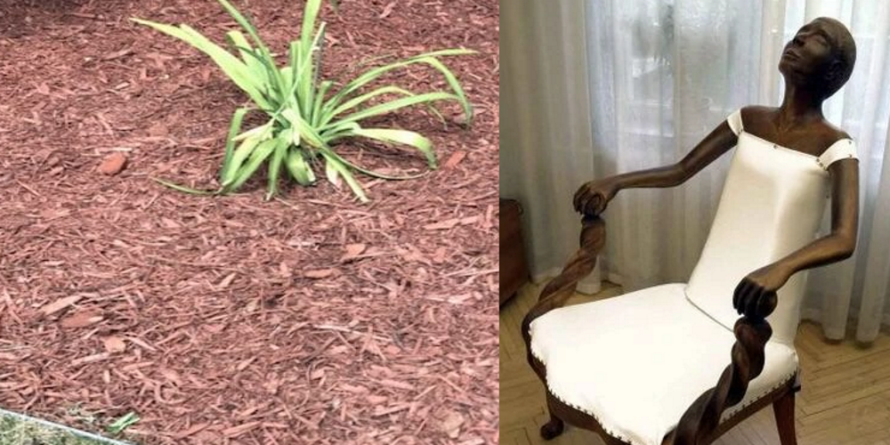 What Is The SCP Foundation? 15 Best Pieces Every New Fan Should Read