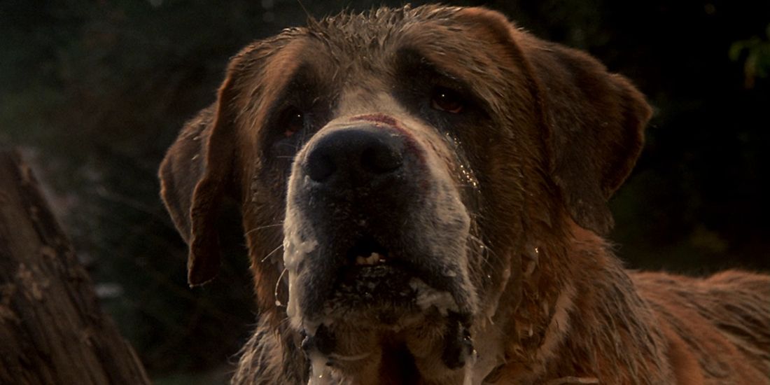 Stephen King: 7 Movies Most Faithful To The Source Material (& 7 That ...