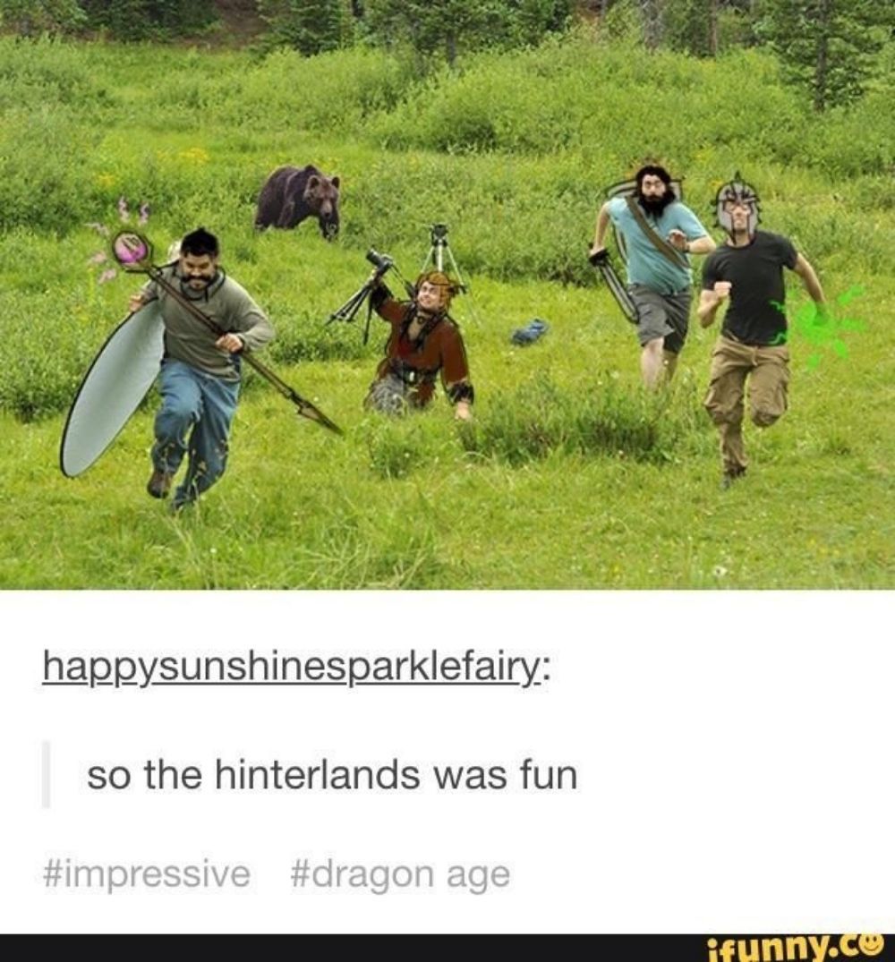 10 Memes That Sum Up Dragon Age: Inquisition