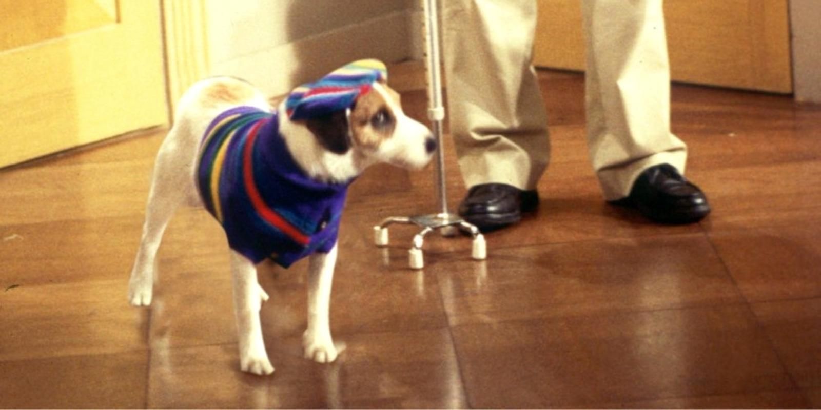 Frasier: Eddie's Best Costumes