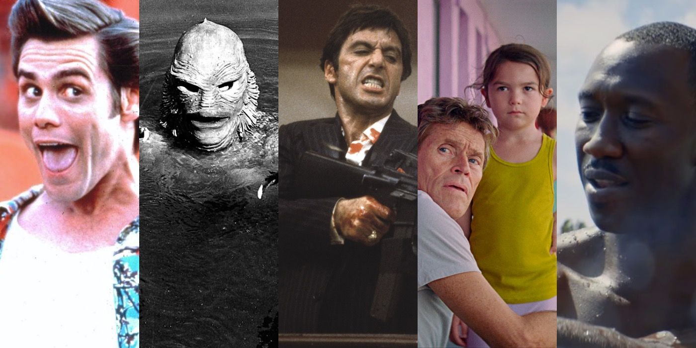 10 Best Movies Shot On Location In Florida