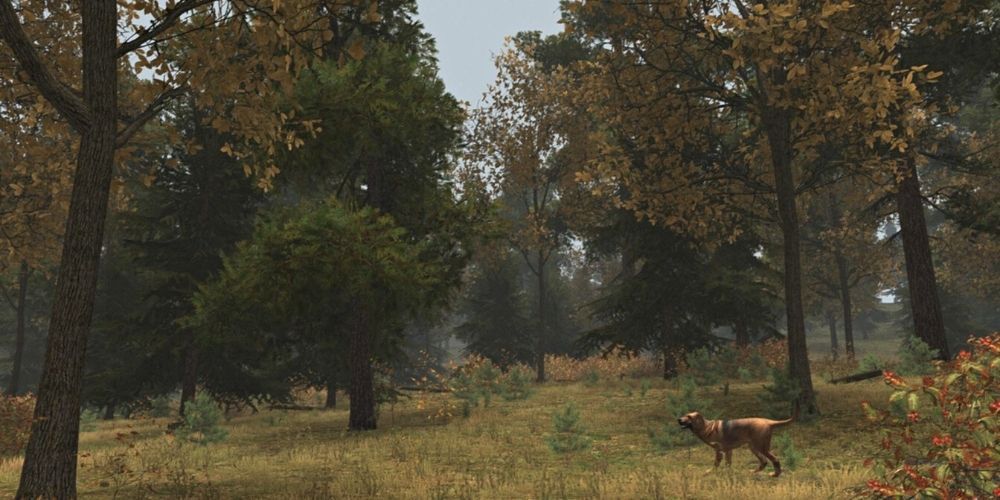 10 Beautiful Video Games To Help You Escape Into Nature