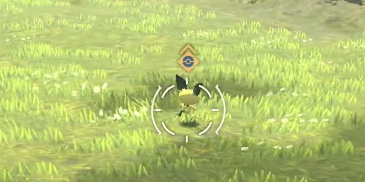 Where to Find (& Catch) Pichu in Pokémon Legends: Arceus