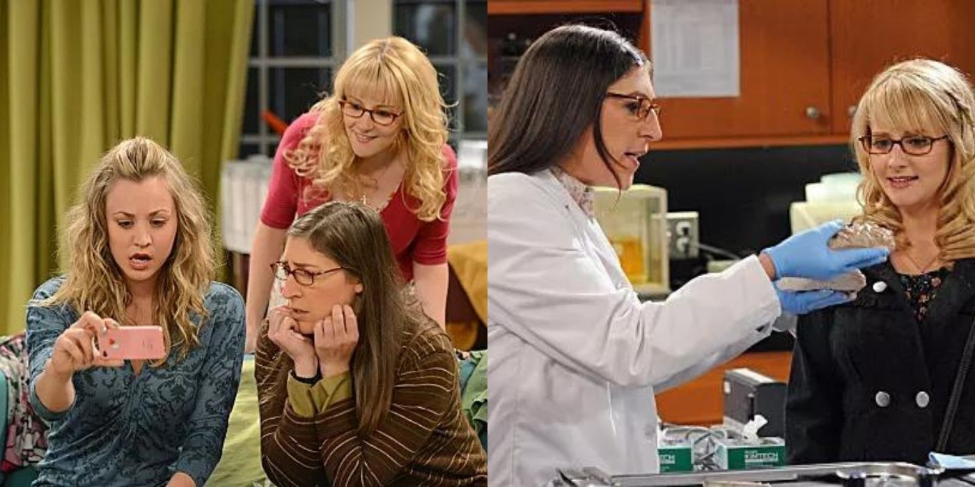 The Big Bang Theory: The Best Storyline In Each Season