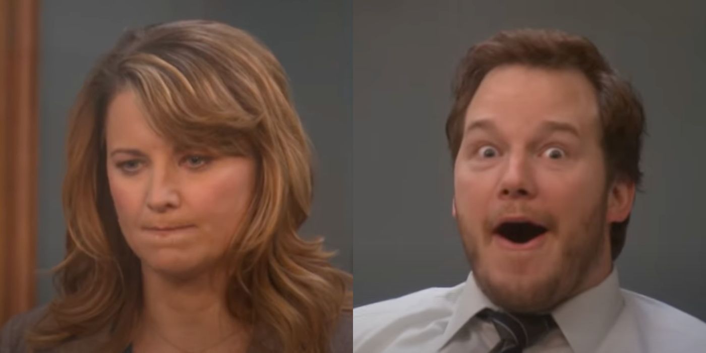 Parks And Recreation: A Timeline Of Ron & Diane's Relationship