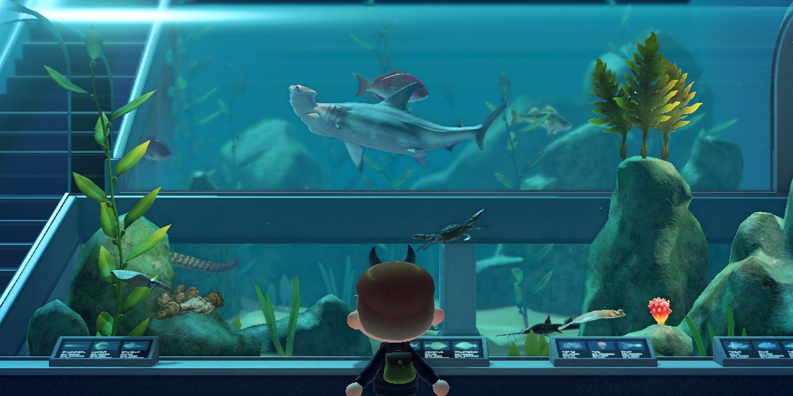 Animal Crossing: Everything New In March 2022 (Bugs, Fish, Items)