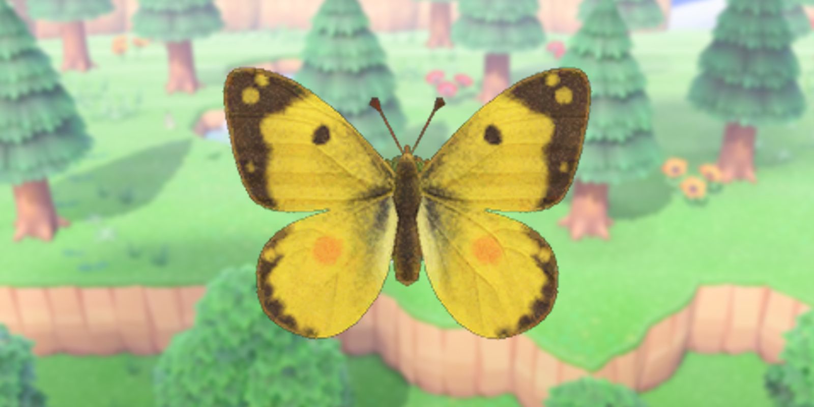 Animal Crossing: Everything New In March 2022 (Bugs, Fish, Items)