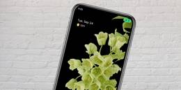 What Does Red Light On Android Phone Mean Homeminimalisite