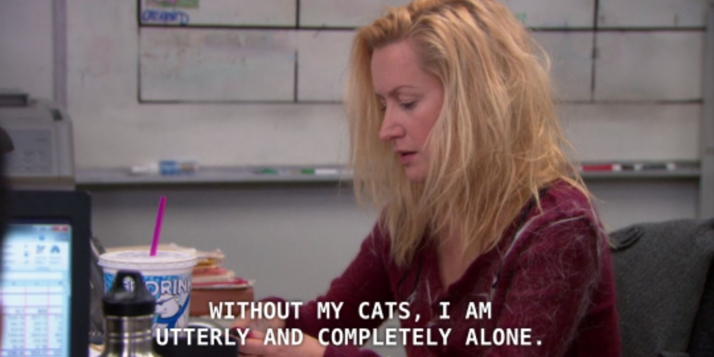 The Office: Everything Andy & Angela Could Have Had At Their Wedding