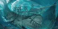 D D Overpowered Character Build Ideas For Sea Elf D D Overpowered Character Build Ideas For Sea Elf