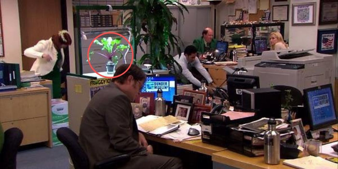 The Office: 10 Strangest Things Found On Dunder Mufflin Employee Desks