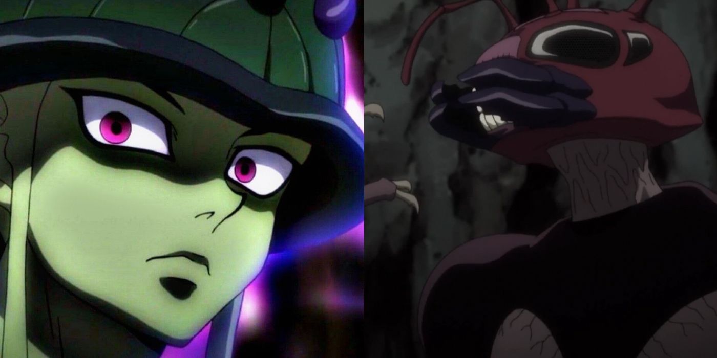 Hunter X Hunter: 10 Unpopular Opinions, According To Reddit