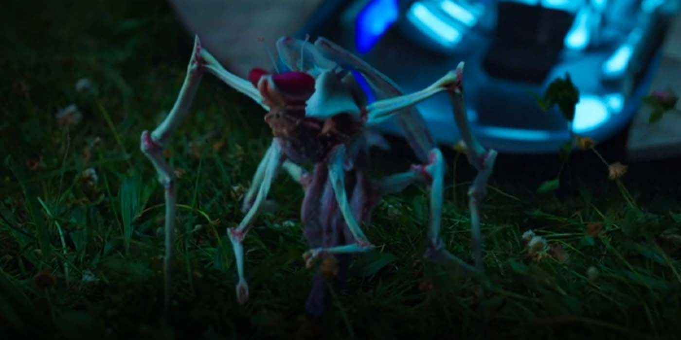 Peacemaker Theory: Goff Joins Season 2's Team (& How She Survives)