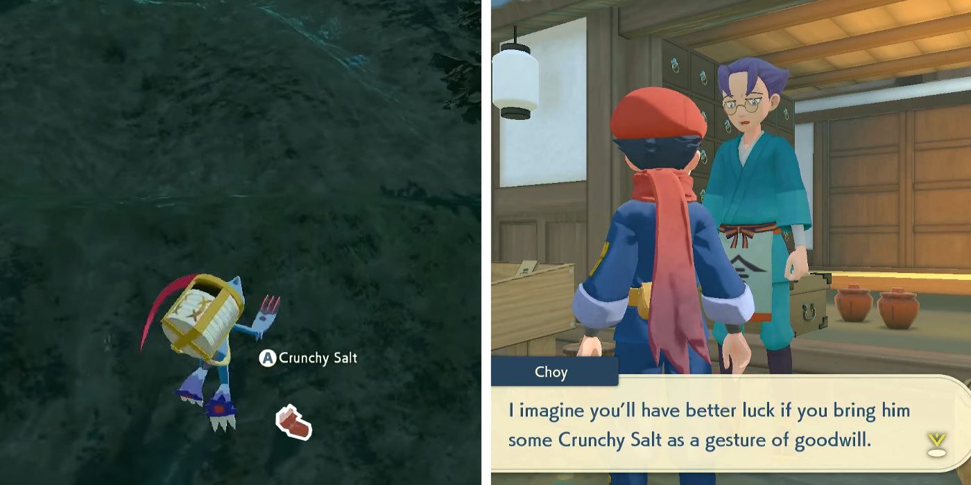 Pokémon Legends: Arceus - How to Get Crunchy Salt