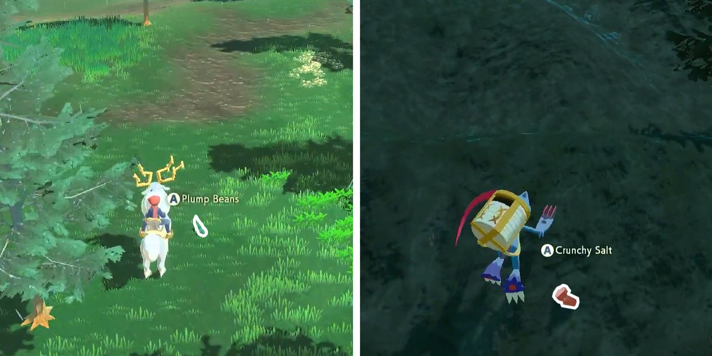 Pokémon Legends: Arceus - How to Craft Twice-Spiced Radish