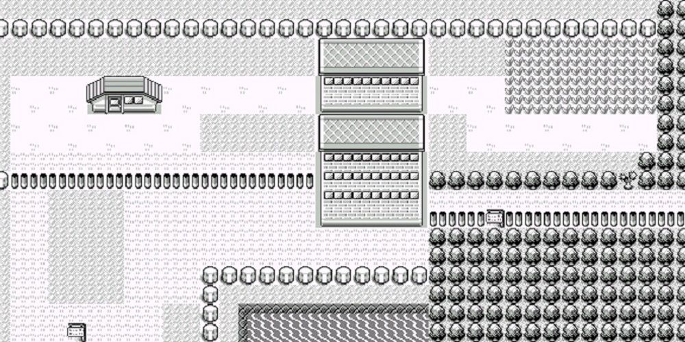 10 Things Only Die-Hard Pokémon Fans Know About Kanto