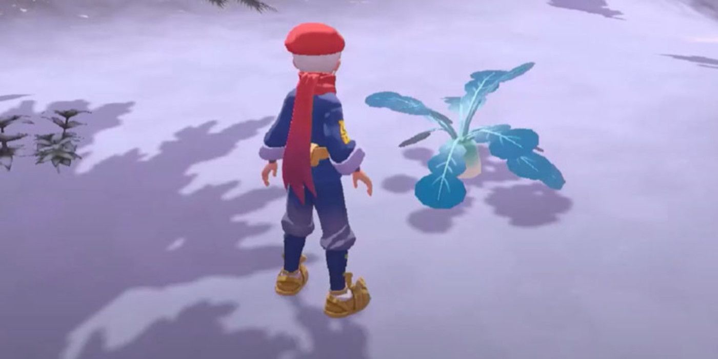 Pokémon Legends: Arceus - Sand Radishes Guide (Locations & Uses)