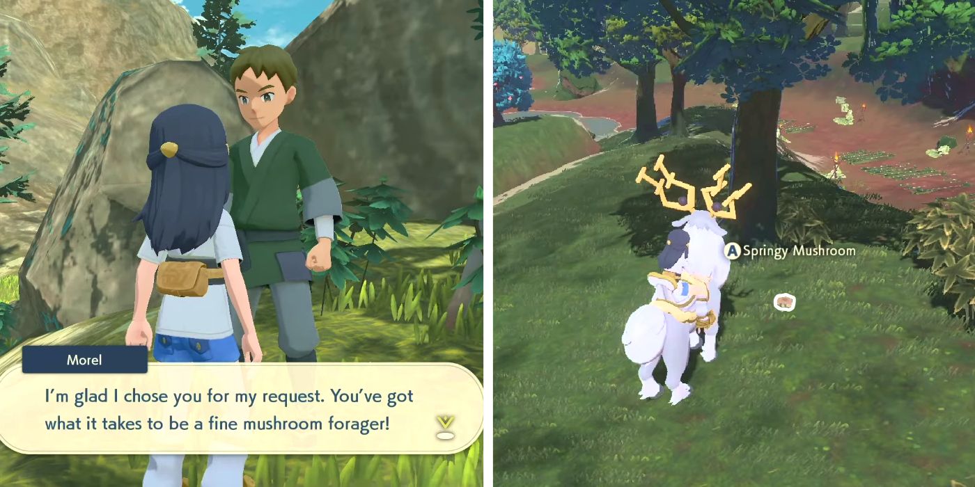 Pokémon Legends: Arceus - How To Get (& Use) Springy Mushrooms