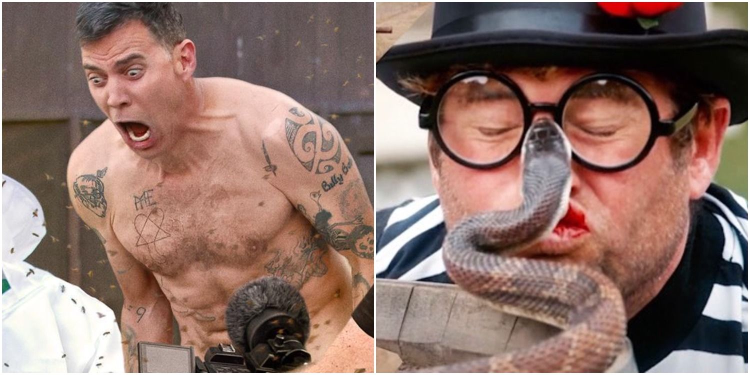 Jackass Forever: 10 Cast Members Who Suffered Most