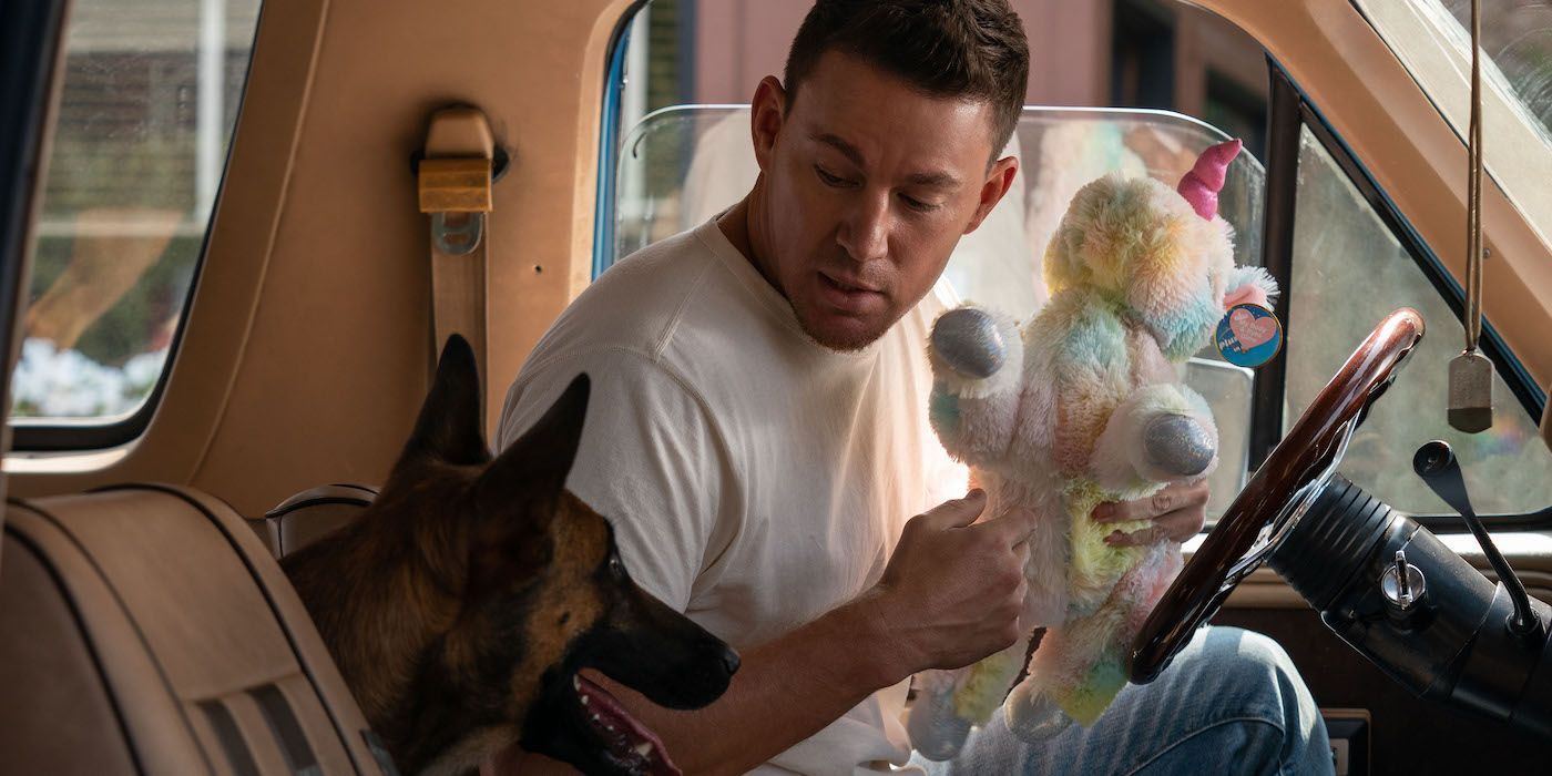 Dog Ending Explained