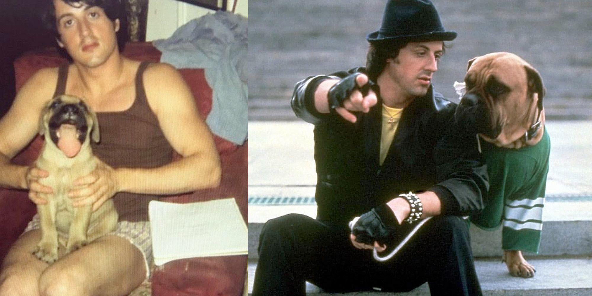 Every Rocky Character Who Can Return In Stallone's Prequel Show