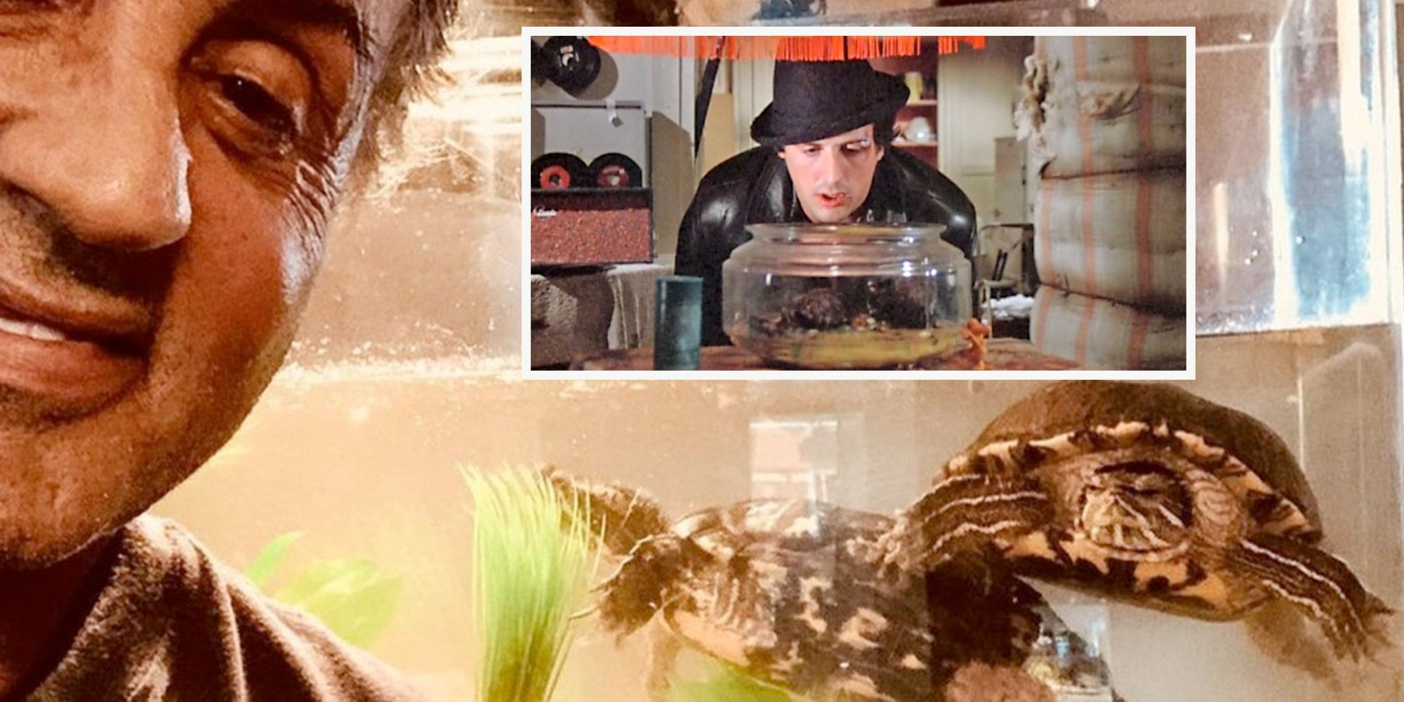 Every Rocky Character Who Can Return In Stallone's Prequel Show